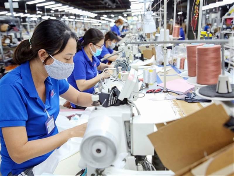 GIL: Gilimex sẽ phát hành hơn 31 triệu cổ phiếu để trả cổ tức năm 2023