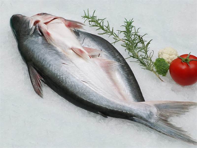 Thủy sản Trường Giang dẫn đầu xuất khẩu cá tra nguyên con sang Trung Quốc