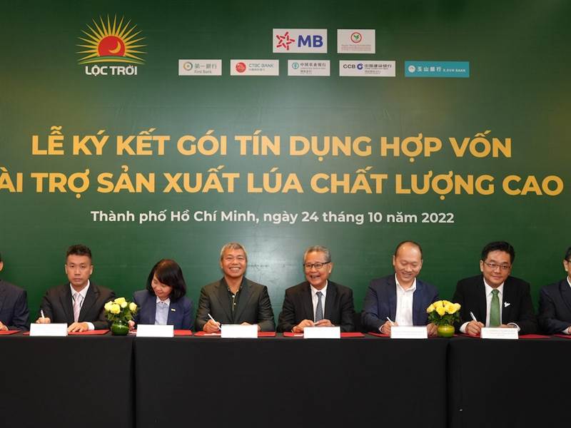 LTG: Lộc Trời sa sút thế nào dưới thời cựu CEO Nguyễn Duy Thuận?
