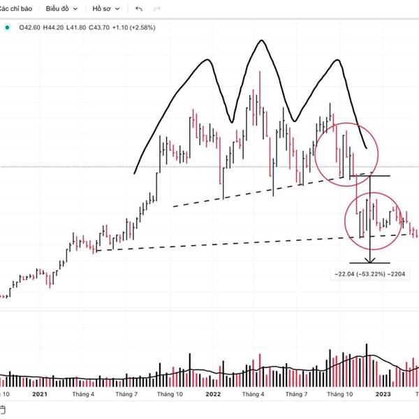 ANV - CTCP Nam Việt