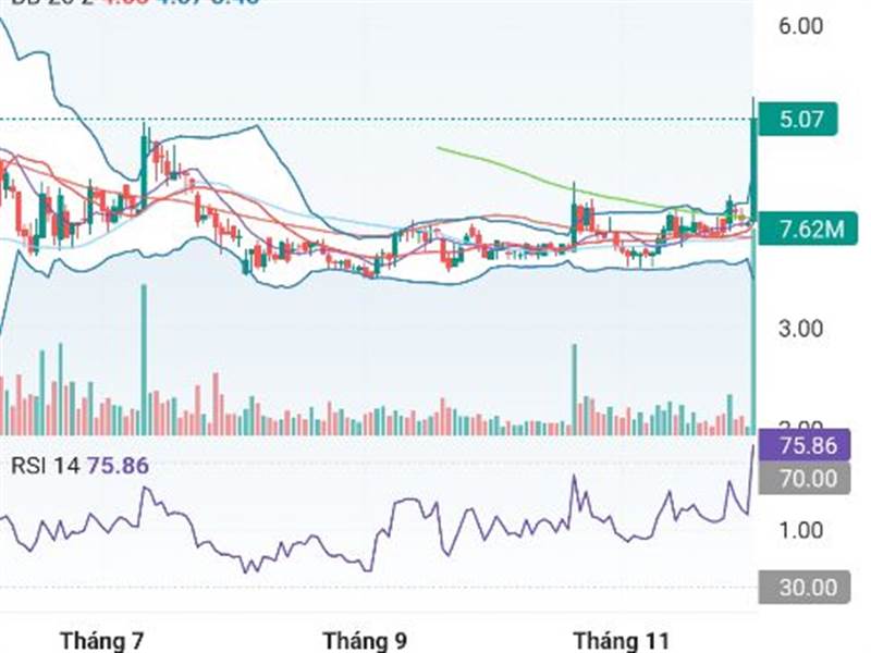 VFS.US tăng 25% rồi có sao k mọi người