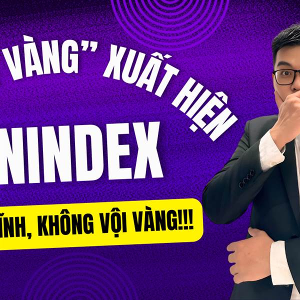 VNINDEX - Chỉ số VNINDEX