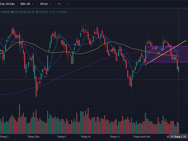 PTA STOCK: Kết phiên ngày 13/01/2025 VN-Index kết ...