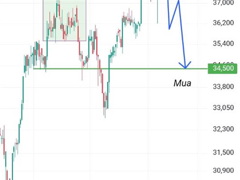 Lo màk bán ctg trước khi quá muộn, cắt lỗ qua plx ...