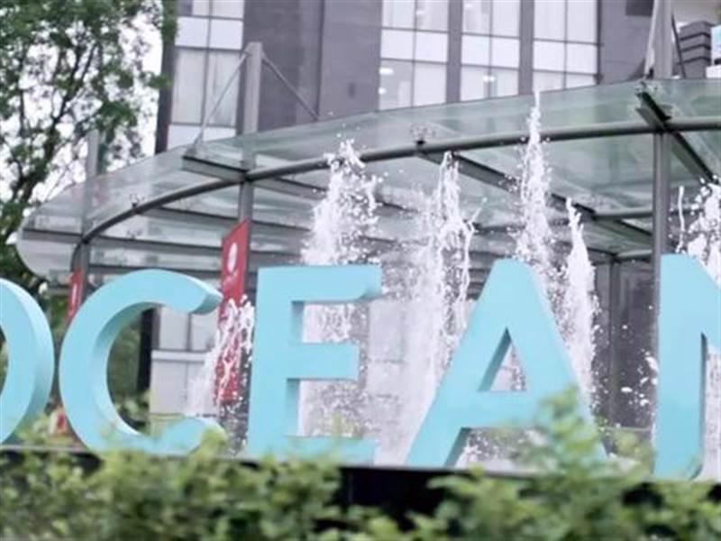 Bộ đôi cổ phiếu OGC và OCH tăng kịch trần, nhà đầu tư xếp hàng chờ mua