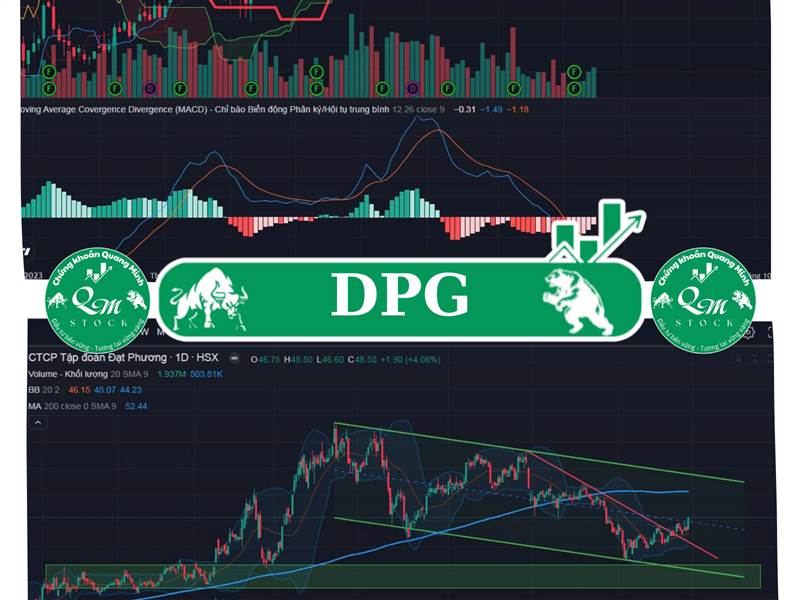 DPG là cổ phiếu kênh trên giống NTL, TCH và chưa g...