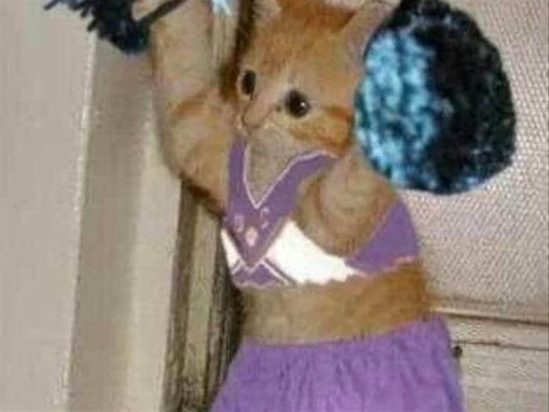 Cố lên cố lên 130 đến nơi rùi 🤣