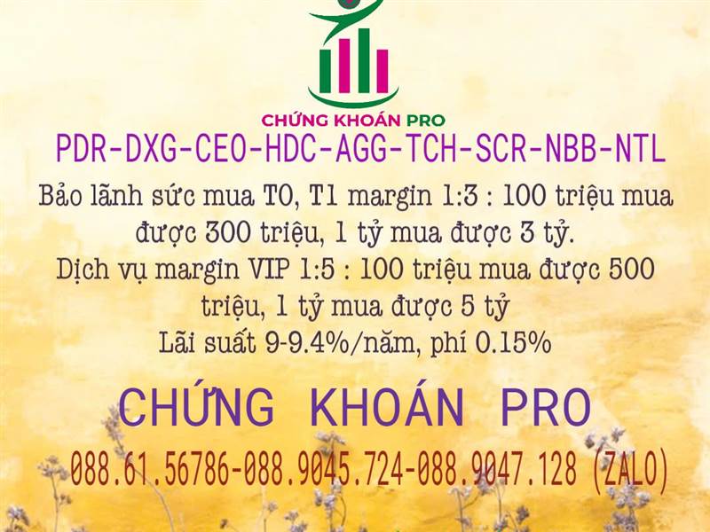 Bất động sản : PDR-DXG-CEO-HDC-AGG-TCH-SCR-NBB-NTL...