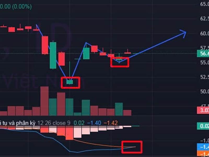 Double Bottom + MACD cắt lên