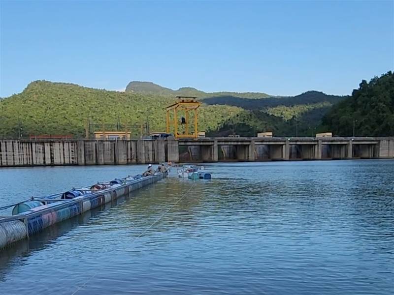 TV1: Lãi tăng mạnh trong năm 2024, kế hoạch 2025 của PECC1 ra sao?