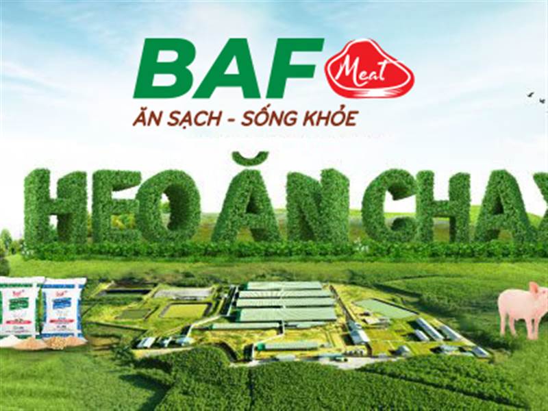 BAF: Baf Việt Nam muốn huy động 500 tỷ đồng từ kênh trái phiếu nhằm cơ ...