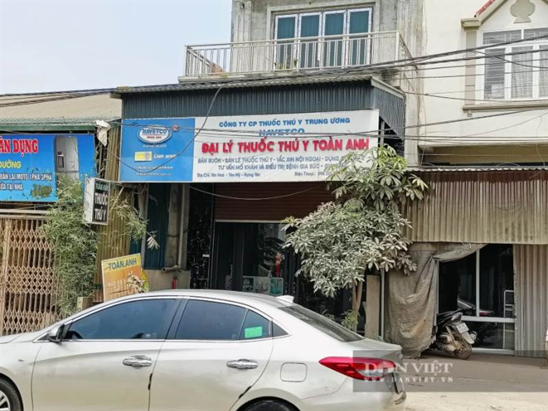 Nỗi lo dịch tả lợn châu Phi: Nhân viên hướng dẫn người dân tiêm vaccine ...