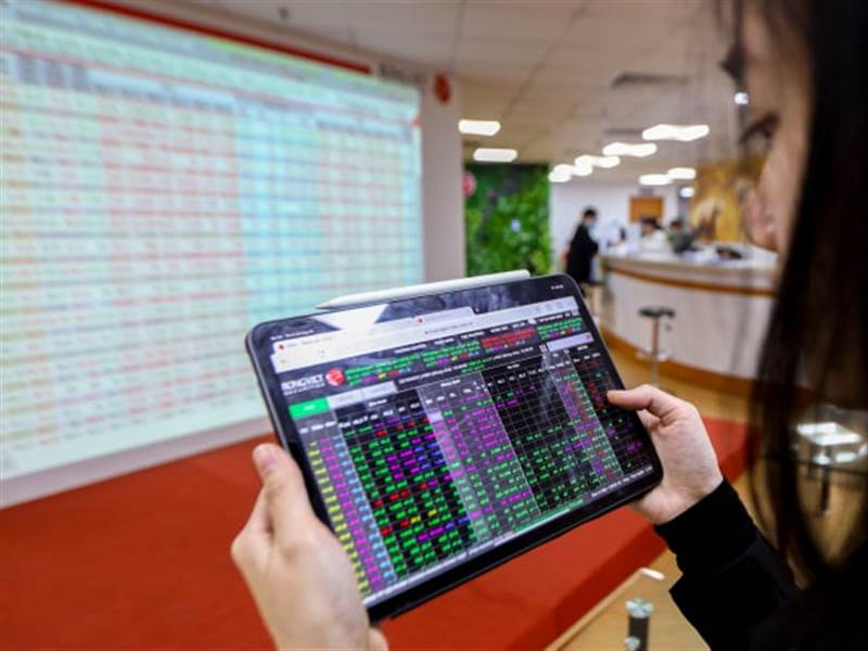 Chứng khoán VIX chốt lãi GEX và GEE, gom mạnh BSR