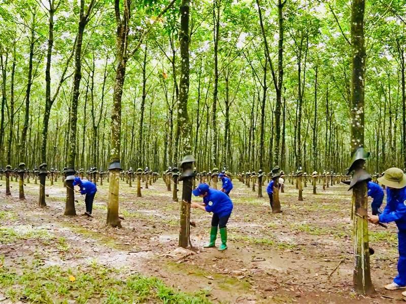 DAKRUCO: Vượt qua sóng gió, tự tin bước vào giai đoạn phát triển mới