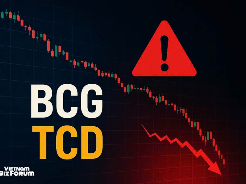 HoSE đưa cổ phiếu BCG và TCD vào diện cảnh báo