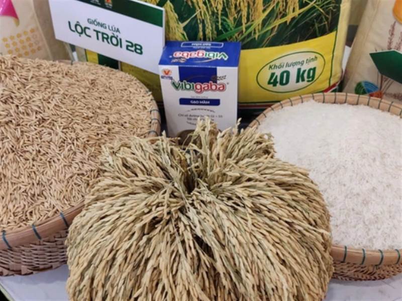 LTG: Gạo Lộc Trời bổ nhiệm tổng giám đốc mới