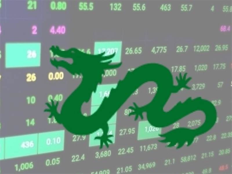 Nhóm quỹ thuộc Dragon Capital Việt Nam 'cầm' nhiều cổ phiếu nào nhất?