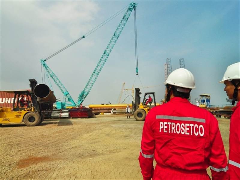 PET: Petrosetco góp vốn thành lập loạt doanh nghiệp có tên ‘Hạ tầng Gelex’