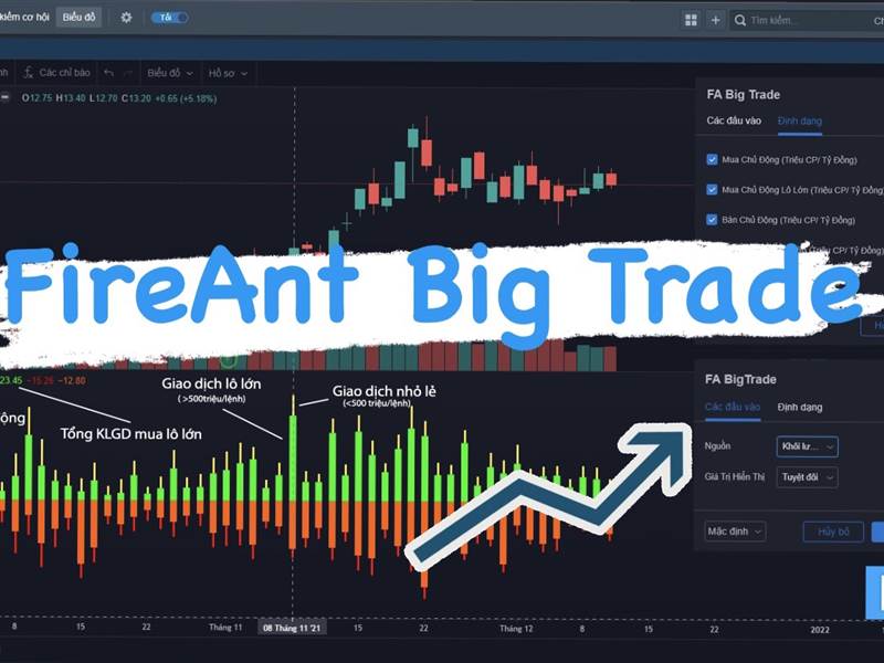 📣 Chỉ báo mới: FireAnt Big Trade - "Theo dấu chân người khổng lồ"
